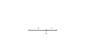 Ejercicio 9. Sección áurea