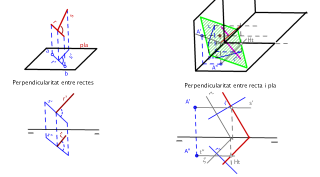 Practice problem Died. Perpen