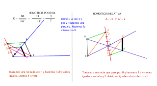 Ejercicio HOMOTECIA DE UNA RECTA